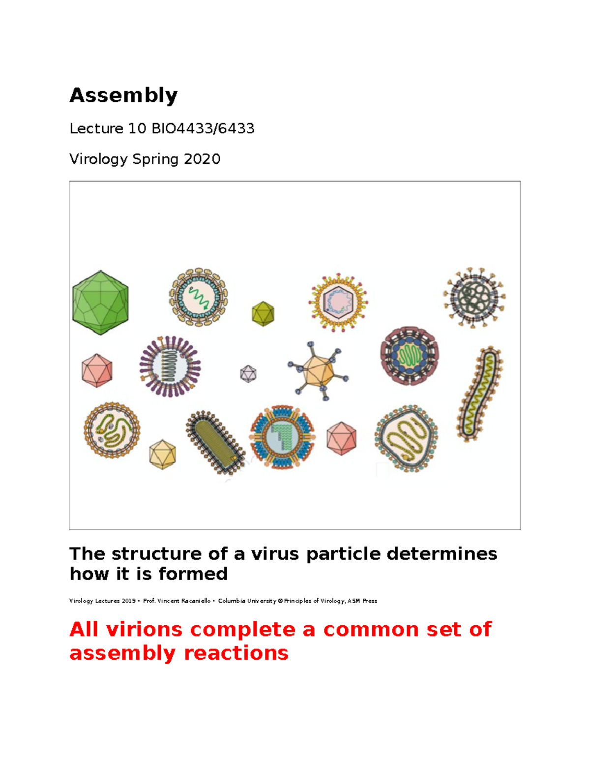 Virology 10 - Lecture notes 10 - Assembly ####### Lecture 10 BIO4433 ...