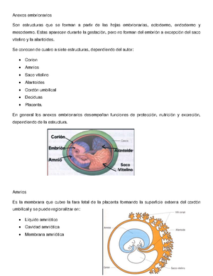 Embriología. Gonadas - Gonada masculina y femenina. - La parte del ...