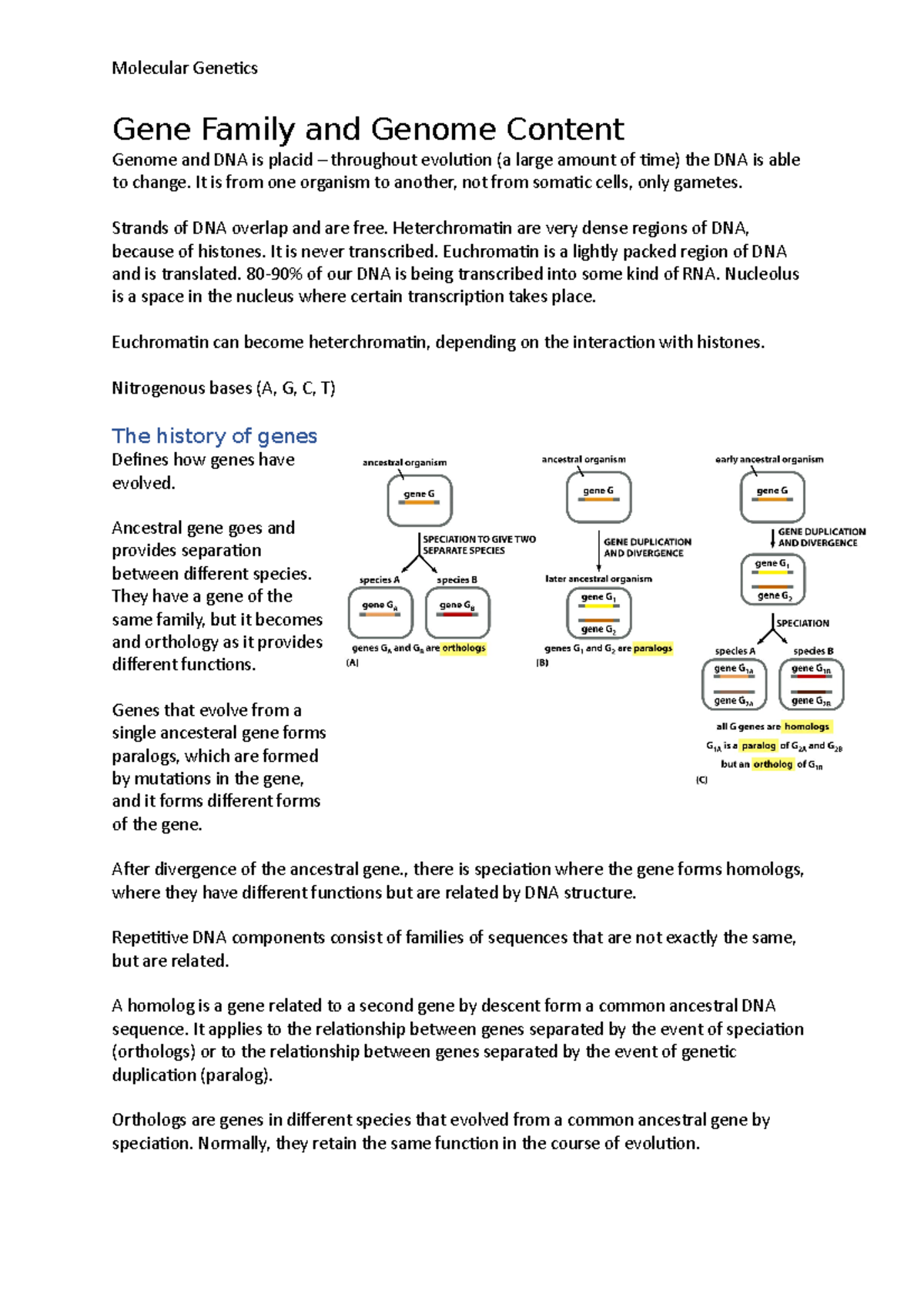 Molecular Genetics Gene Family and Genome Content - Molecular Genetics ...