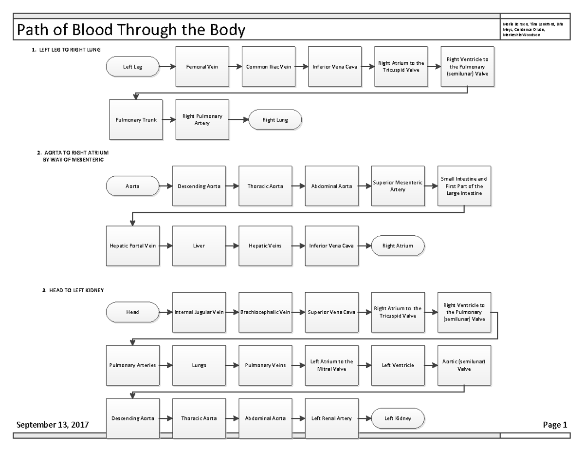 Blood Pathway Page 1 of 4 - Path of Blood Through the Body Maria Benson ...