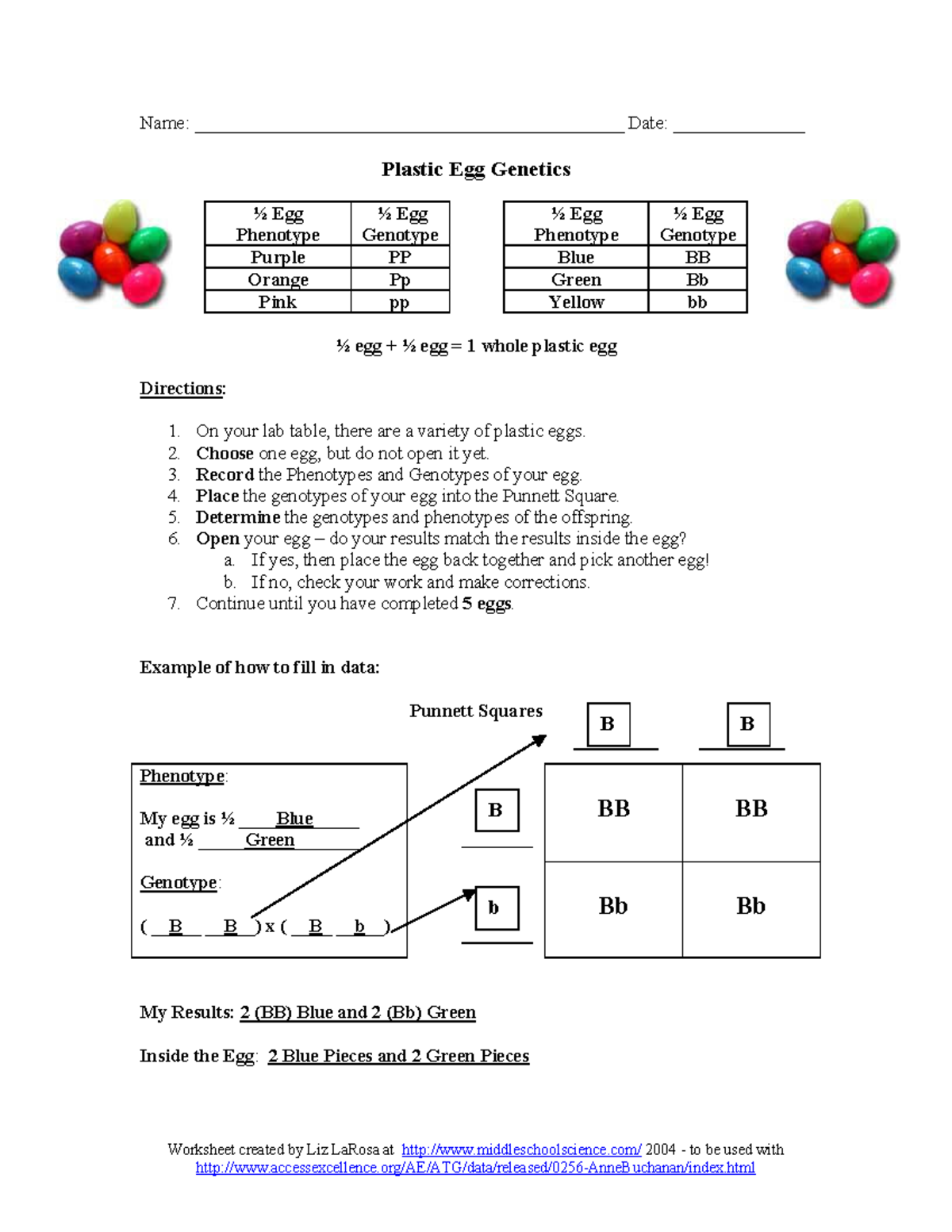 Genetic plastic eggs lesson - Name ...