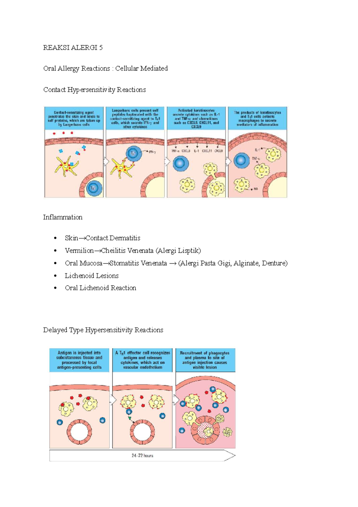 Reaksi Alergi 5 - REAKSI ALERGI 5 Oral Allergy Reactions : Cellular ...