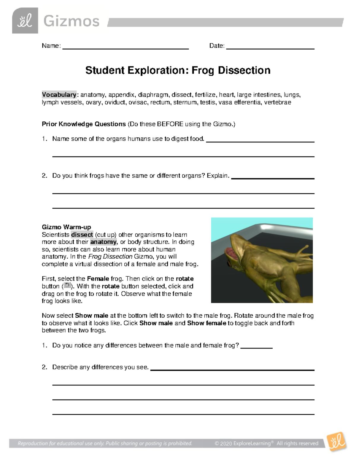 Frog+Dissection - Name: Date: Student Exploration: Frog Dissection ...