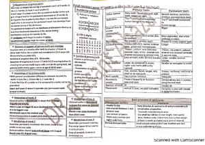 Posterior Composite Restoration I - dental anatomy - Studocu