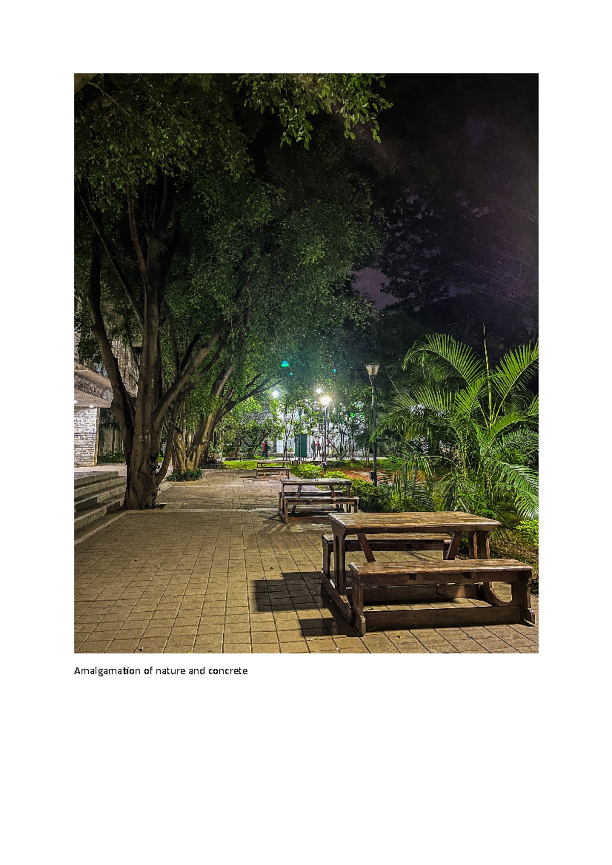 Photo essay - Innovation and Design thinking - Amalgamation of nature ...