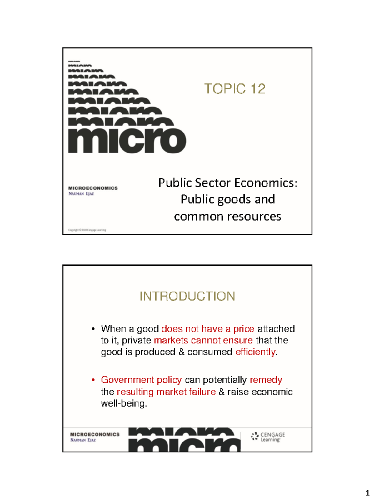 Topic 12 - lecture notes - TOPIC 12 Public Sector Economics: Public ...