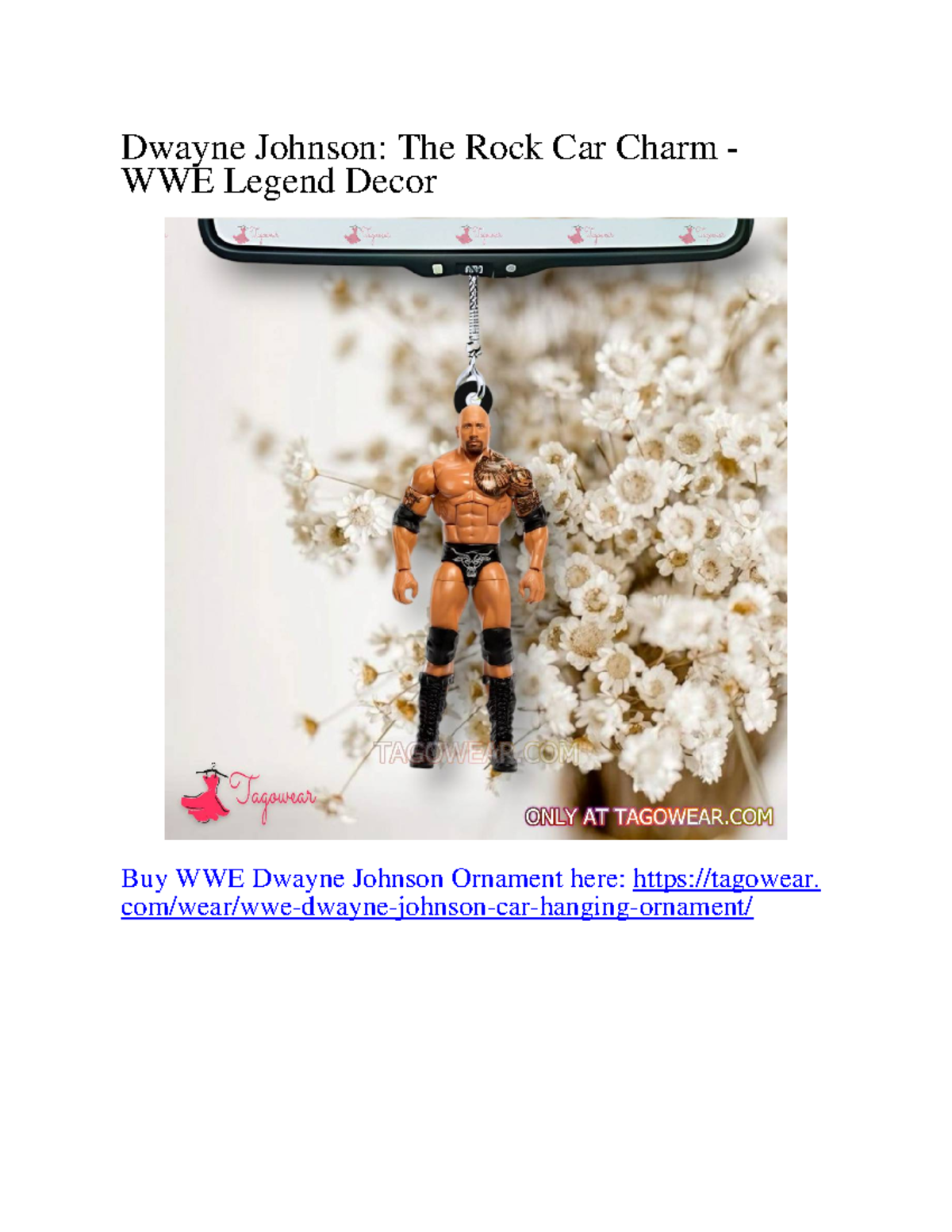 Dwayne Johnson The Rock Car Charm - WWE Legend Decor - BA05101 - - Studocu