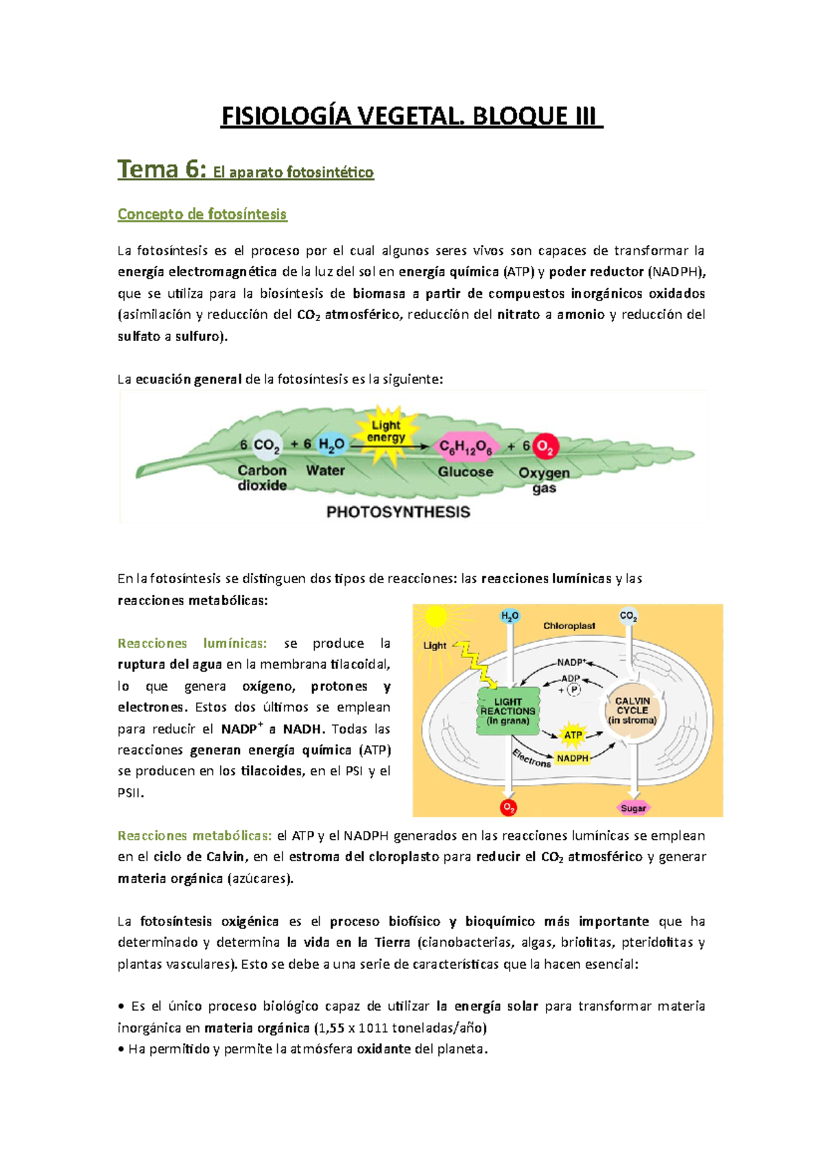 Fisiologia Vegetal Bloque 3 - FISIOLOGÍA VEGETAL. BLOQUE III Tema 6: El ...