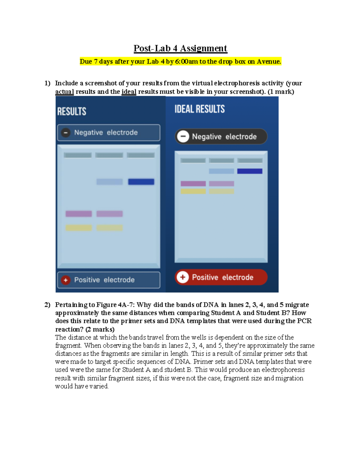 Post-Lab 4 Assignment - notes - Post-Lab 4 Assignment Due 7 days after ...