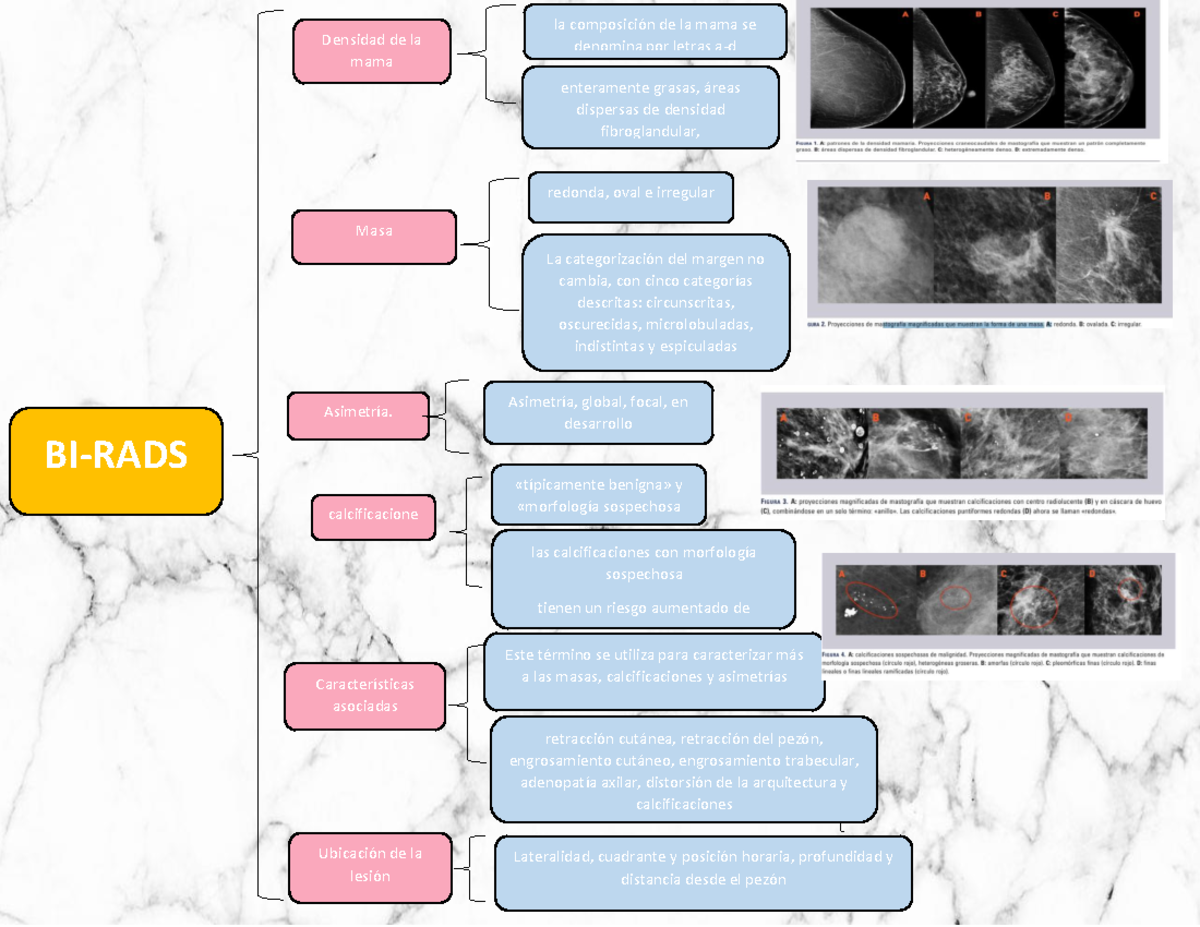 Clasificacion en mastografia de Birads (Breast Image Reporting and Data System) - 7 BI-RADS ...