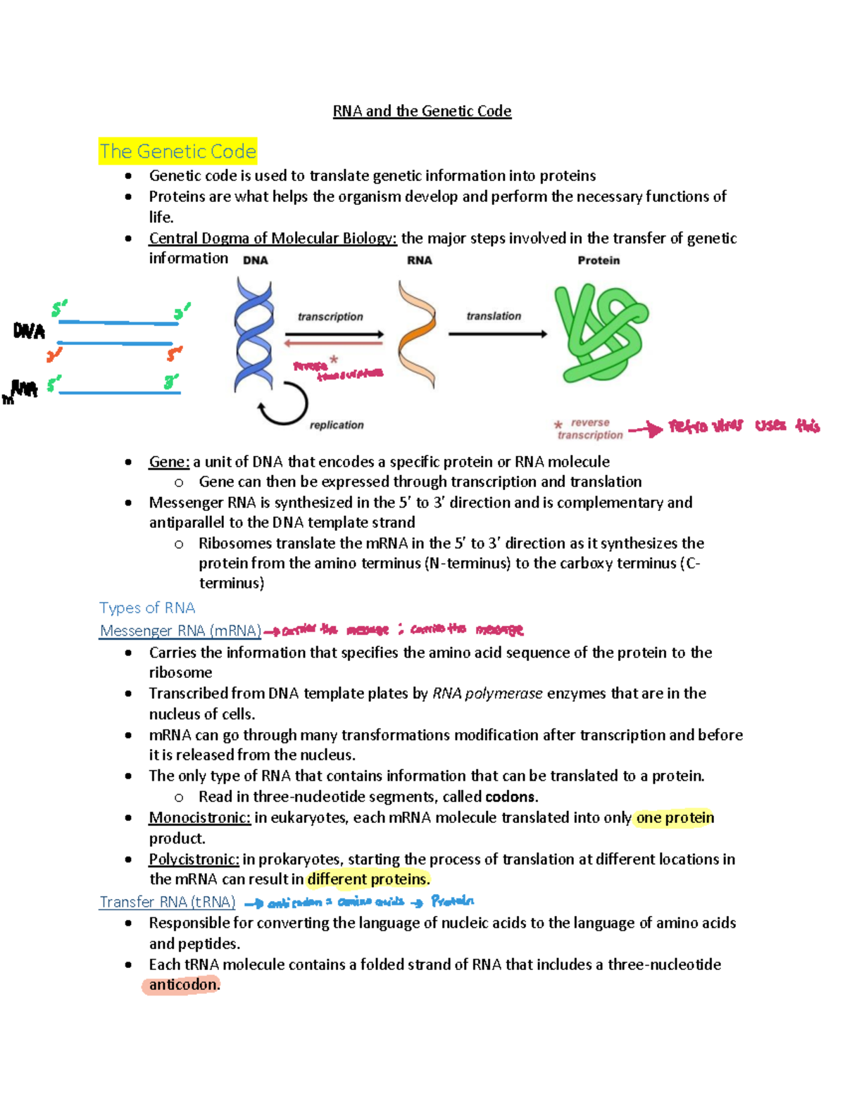 Copy of 7-RNA and the Genetic Code - RNA and the Genetic Code The ...