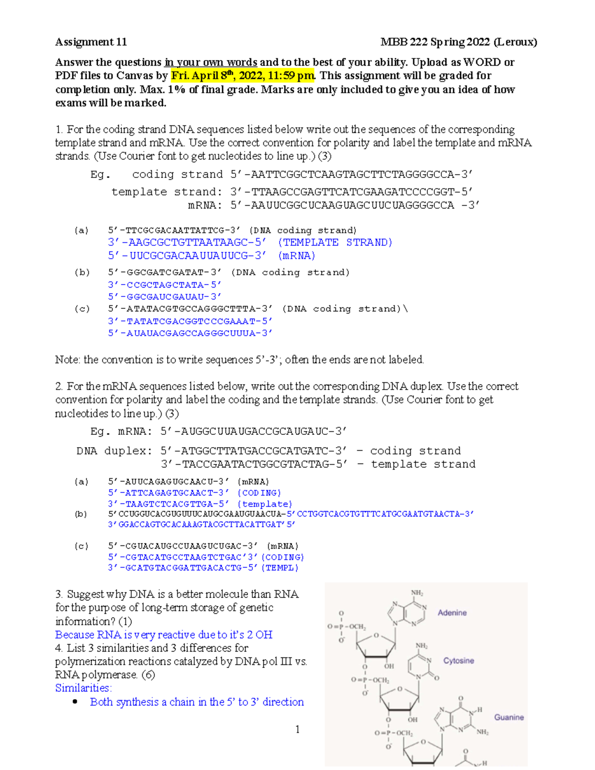 Assignment 11 assignemnt asnwers - Mbb 446 - SFU - Studocu