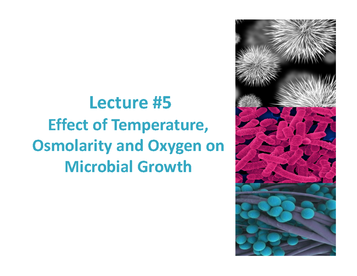 Lecture 5 - Warning: TT: undefined function: 32 Warning: TT: undefined function: 32 Warning: TT ...