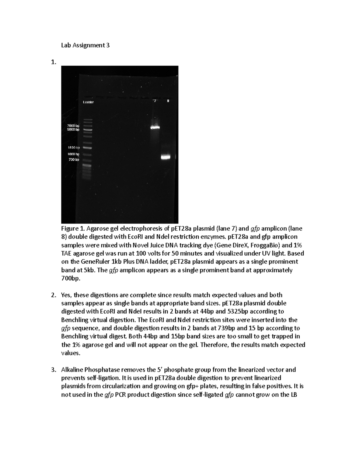 Lab assignment 3 - LA#3 - Lab Assignment 3 Figure 1. Agarose gel electrophoresis of pET28a ...