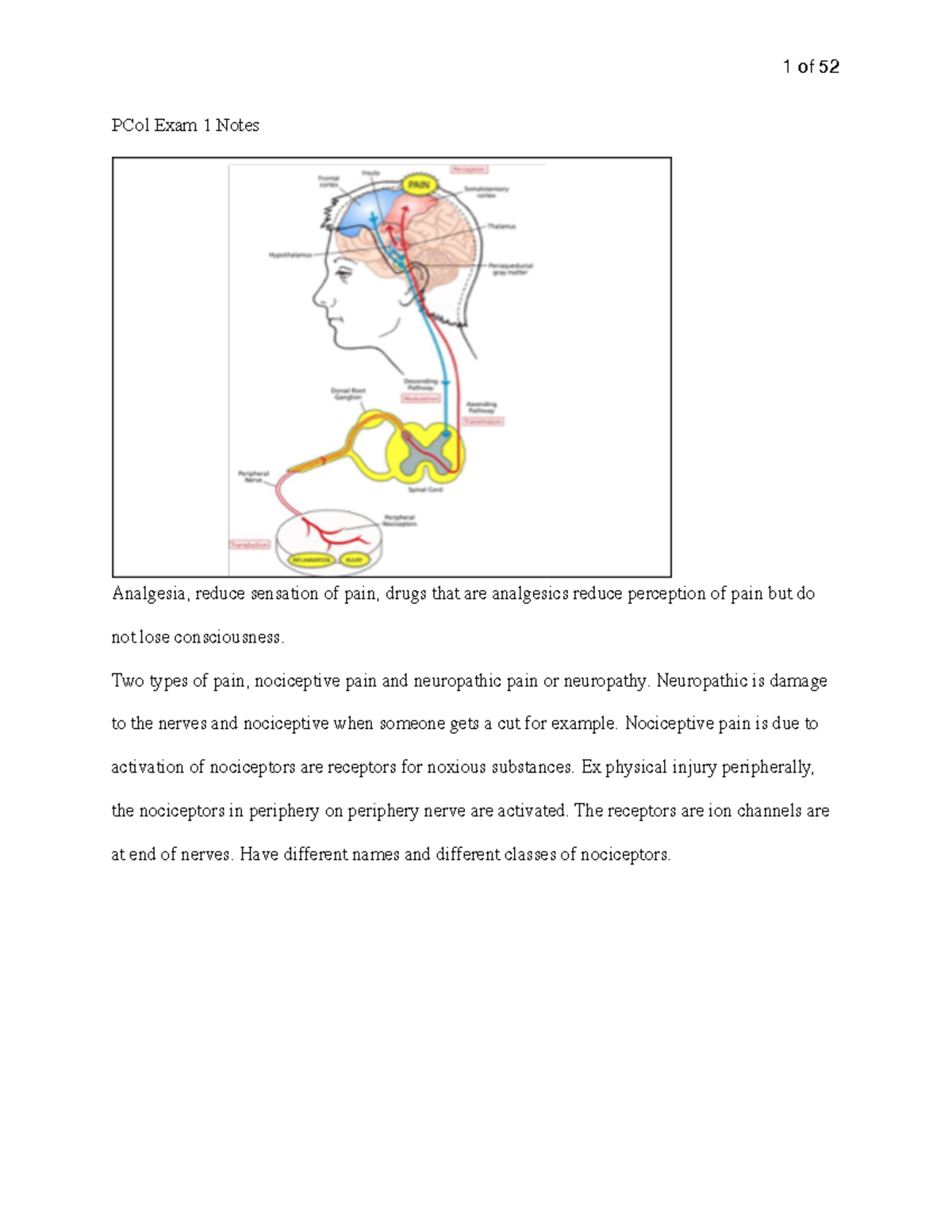 PCOL 2 Exam 1 notes PDF - Dr. kiel - PCol Exam 1 Notes Analgesia ...