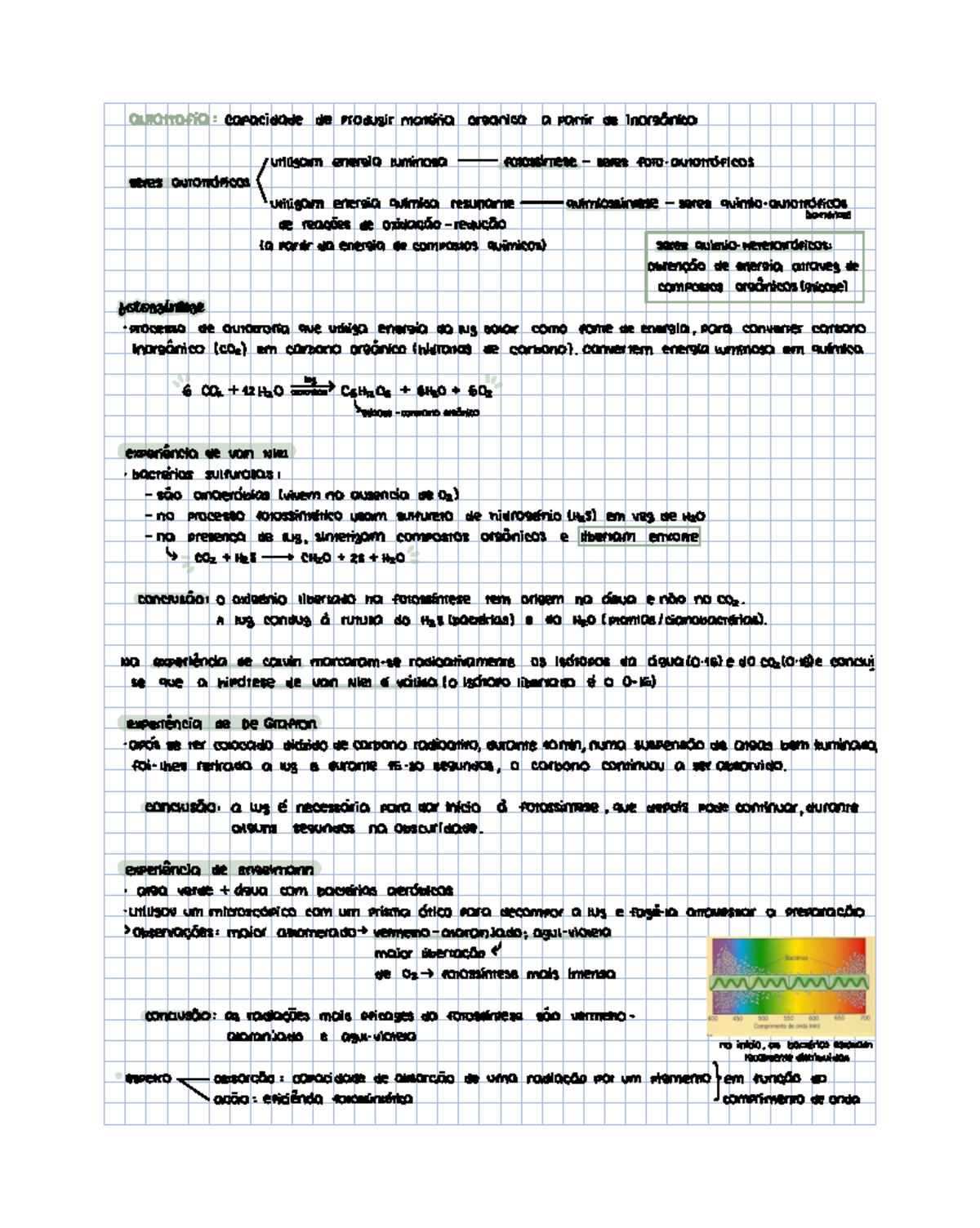 Obtenção de matéria pelos seres autotroficos - autotrofia capacidade de ...