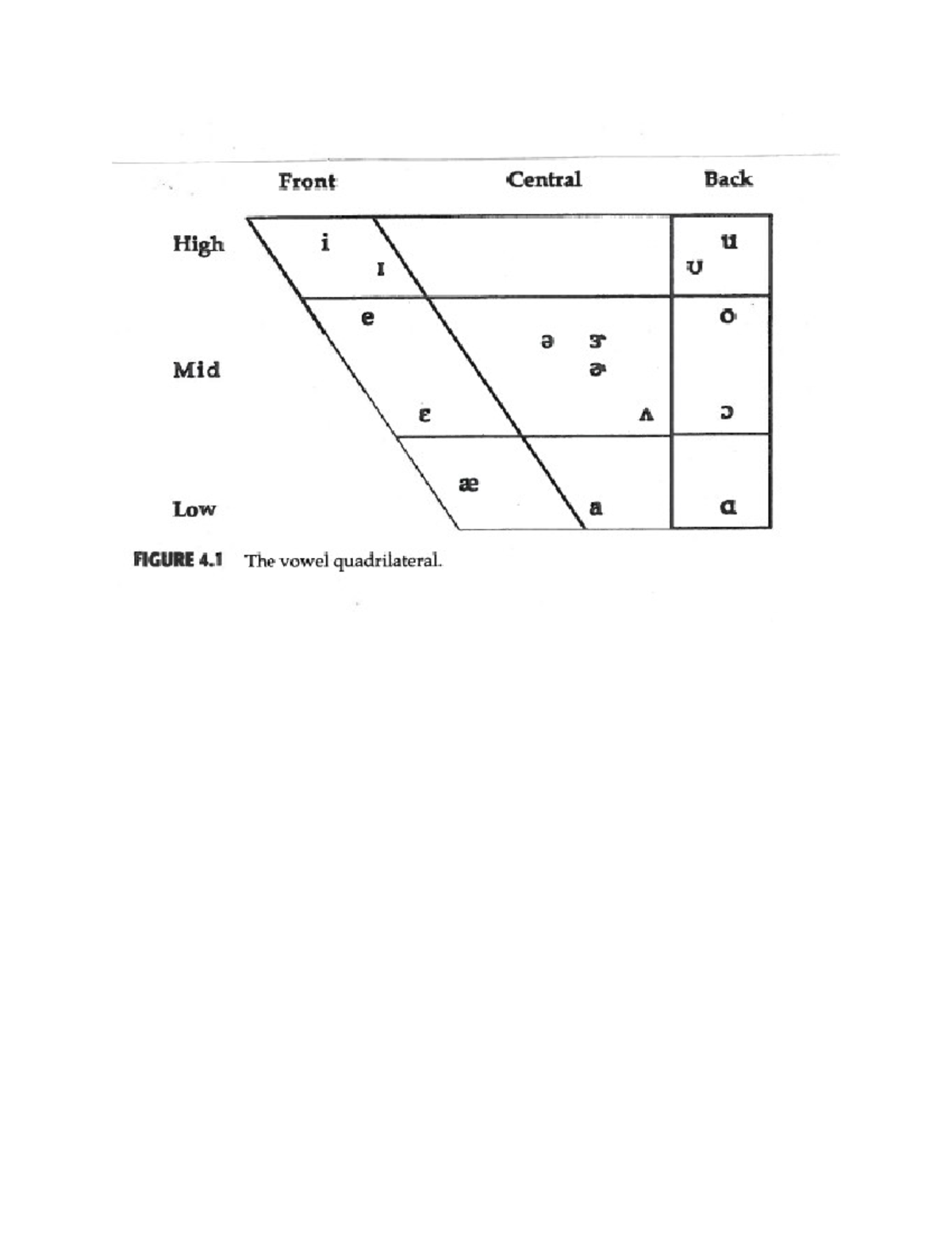 Vowel Quadrilateral - Example given by professor - SED 355 - Front ...