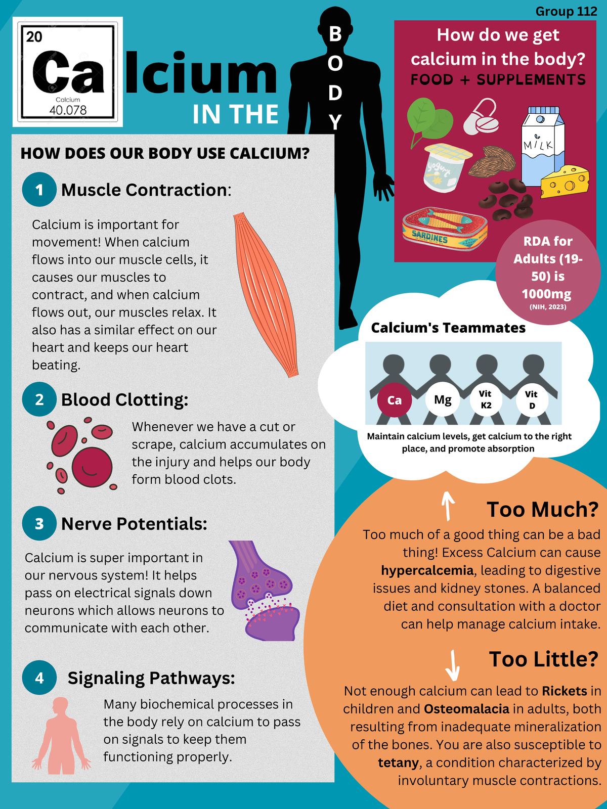 Calcium - 1 2 3 4 MG Too Little? RDA for Adults (19- 50) is 1000mg (NIH ...