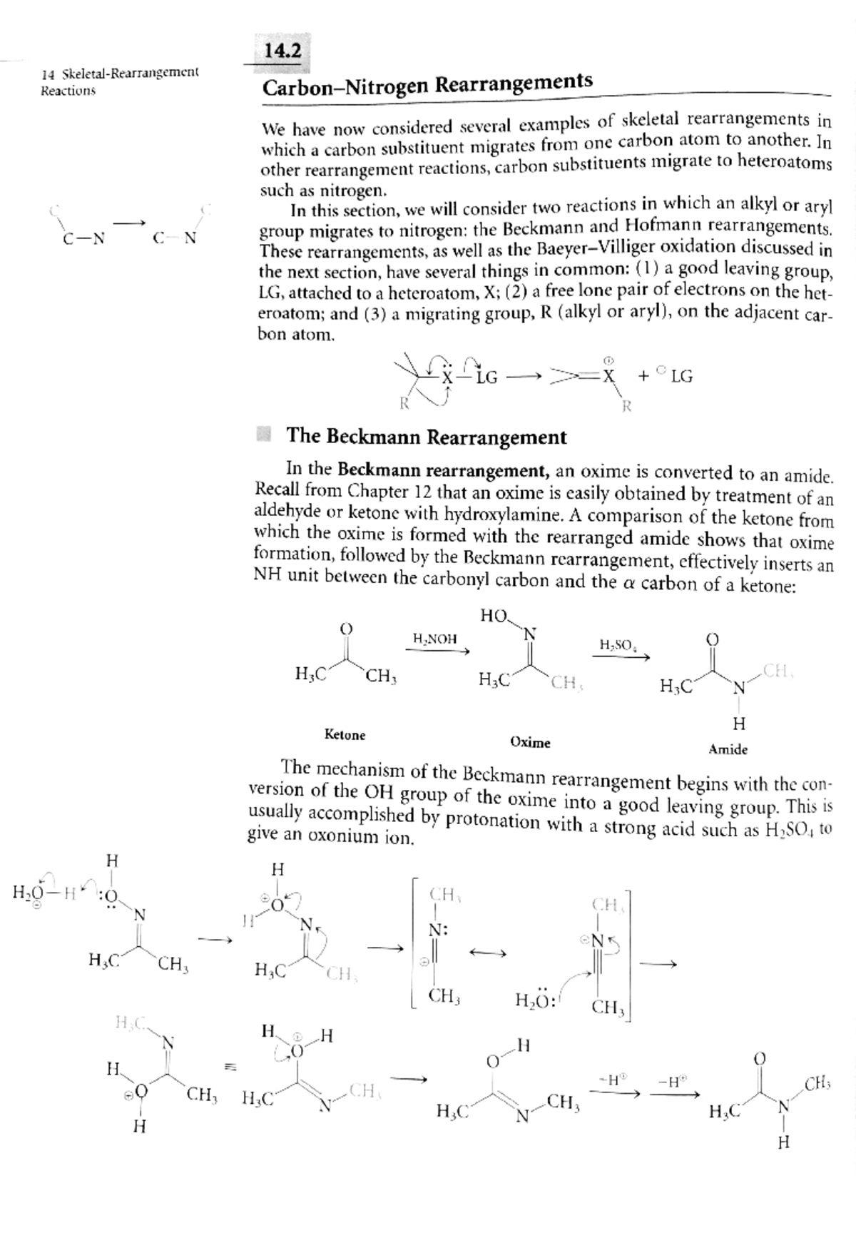 Carbon-Nitrogen rearrangement - 14. 14 Skeletal-Rearrangement Carbon ...