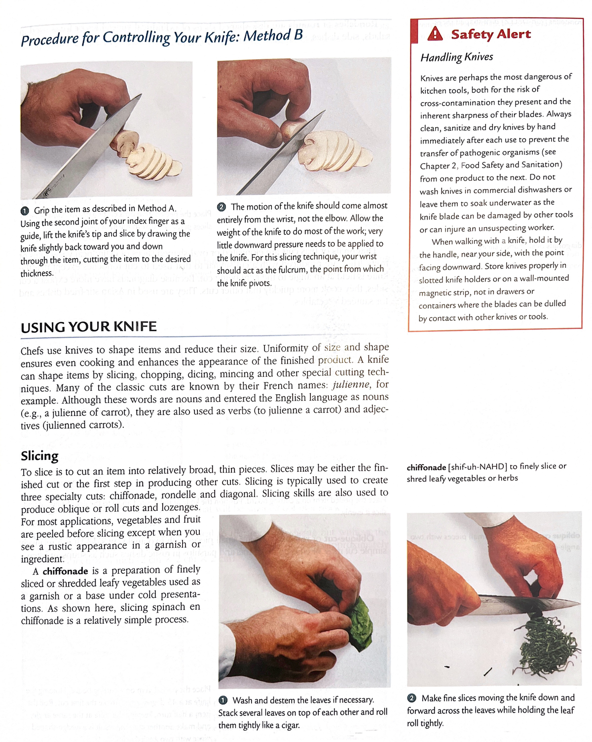 Knife Skills Review 4 - FSS 1203C - Studocu