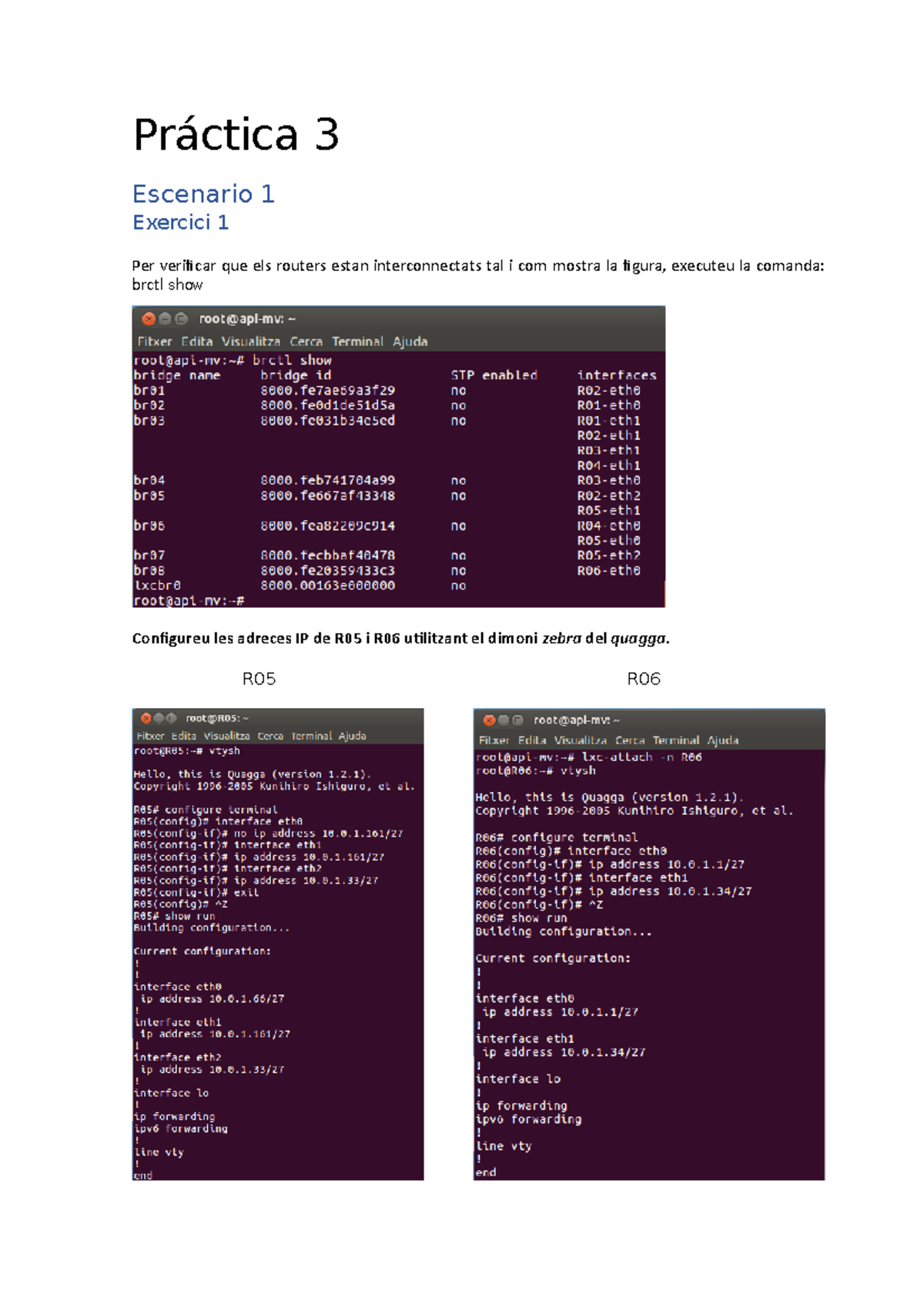 Práctica 3 - Practica 3 de Arquitectura y protocolos de internet - Práctica 3 Escenario 1 ...
