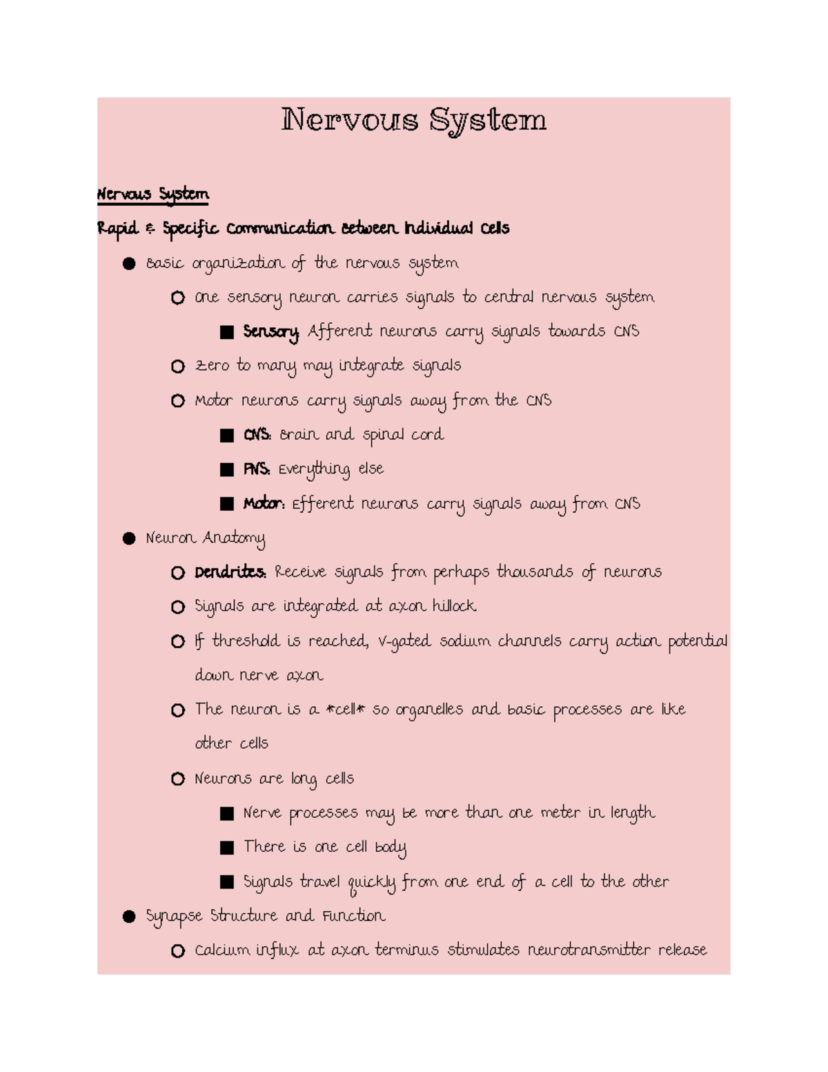Nervous System - Lecture Notes - Nervous System Nervous System Rapid ...