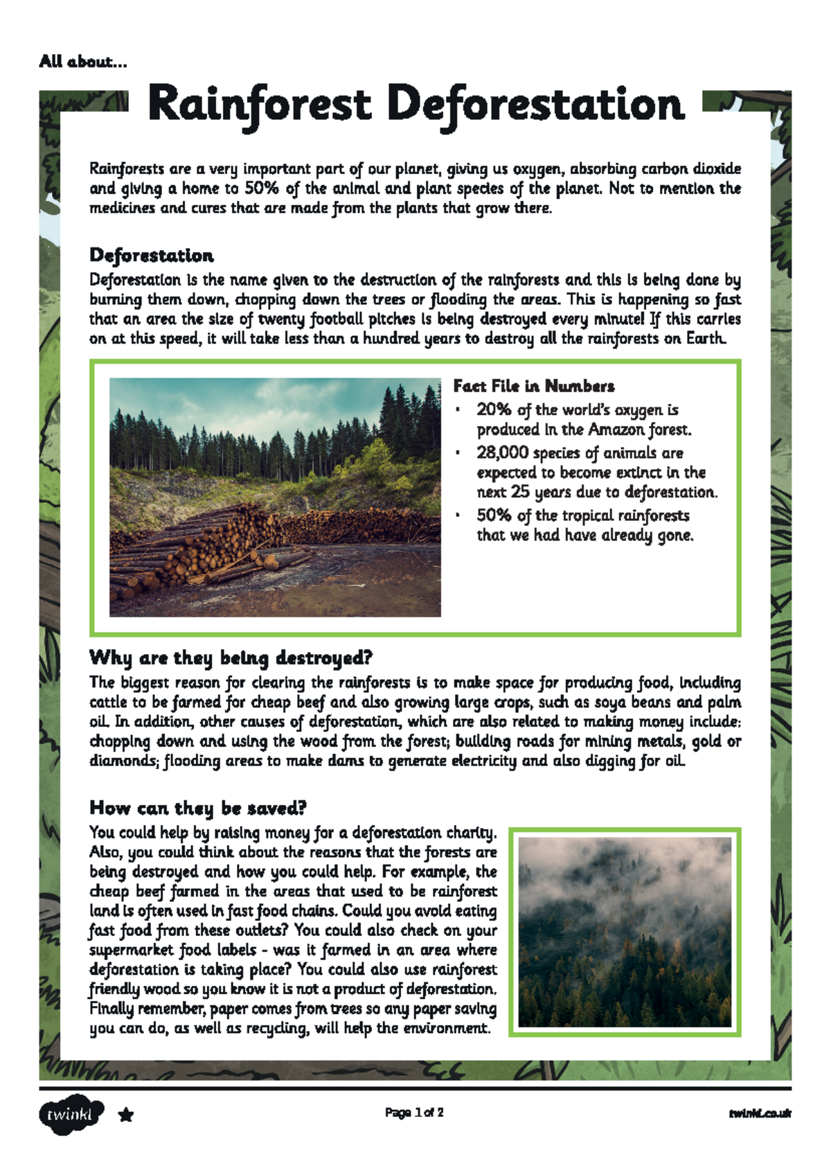 Rainforest Deforestation - learning camp - Studocu