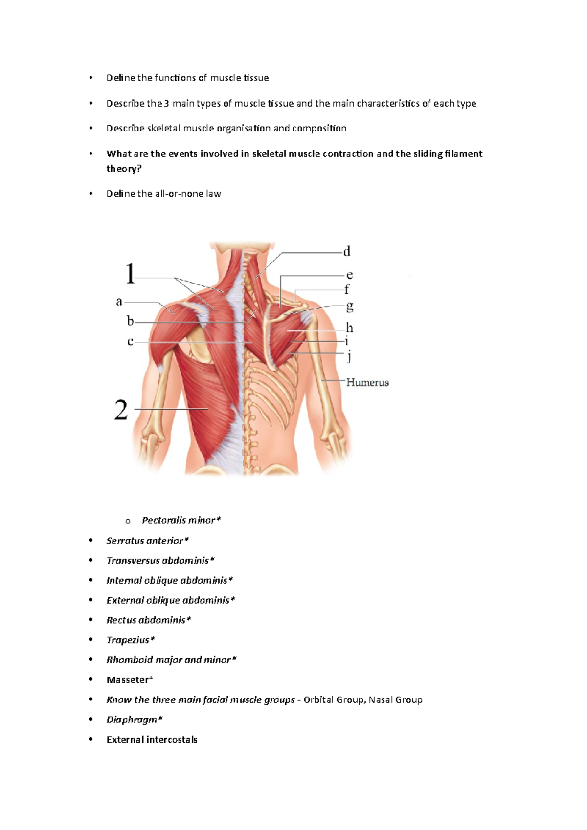 Define The Functions Of Muscle Tissue Define The Functions Of Muscle define-the-functions-of-muscle-tissue-define-the-functions-of-muscle