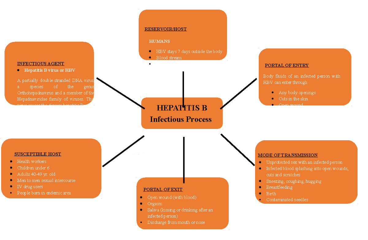 HEPA B chain of infection - HEPATITIS B Infectious Process RESERVOIR ...