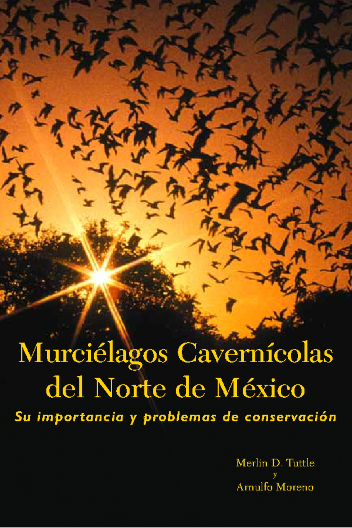 Border Bats Spanish - murcielagos - M u r c i é l a g o s C a v e r n í ...