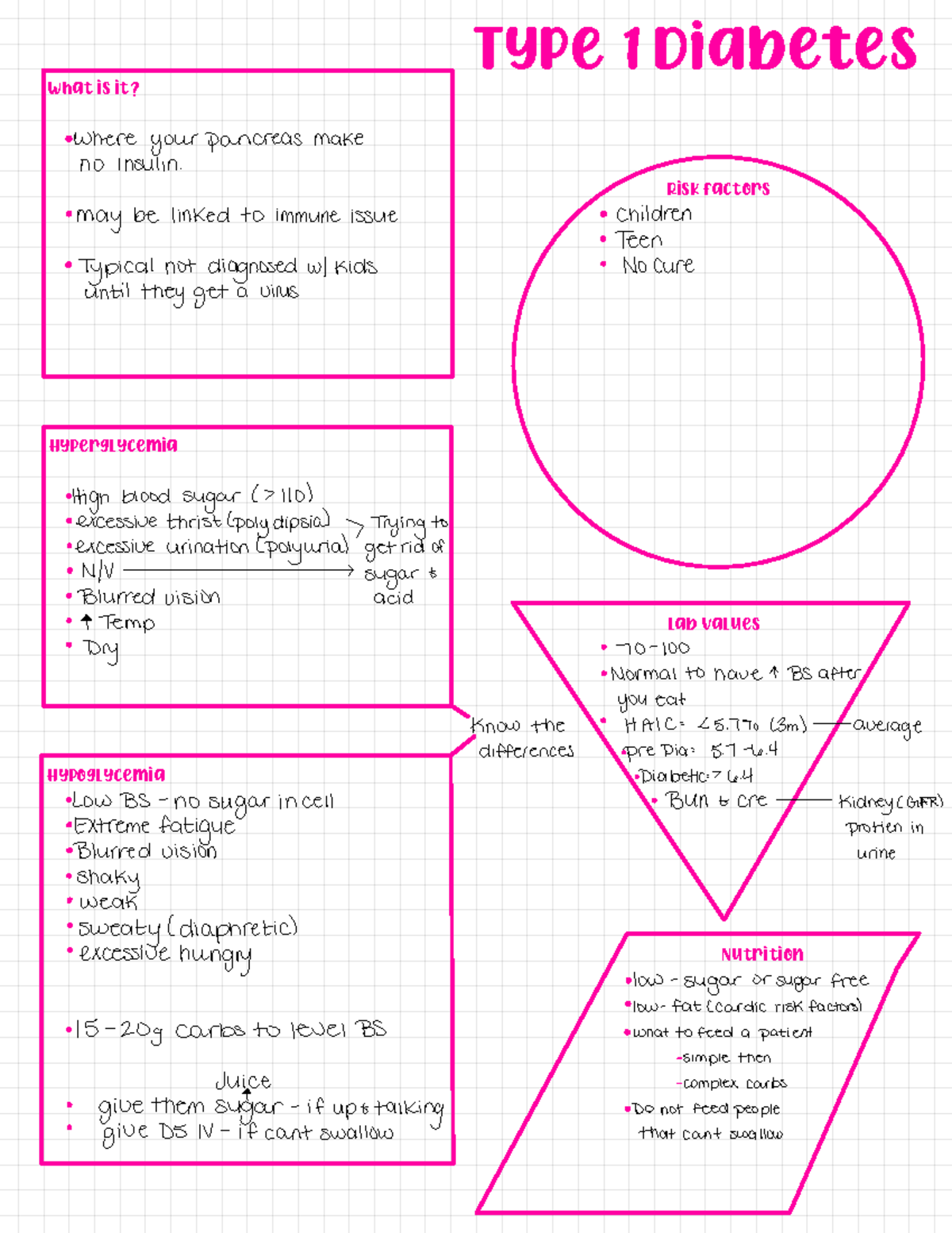 Study Guide - Lecture notes - Type 1 Diabetes What is it? Risk factors ...