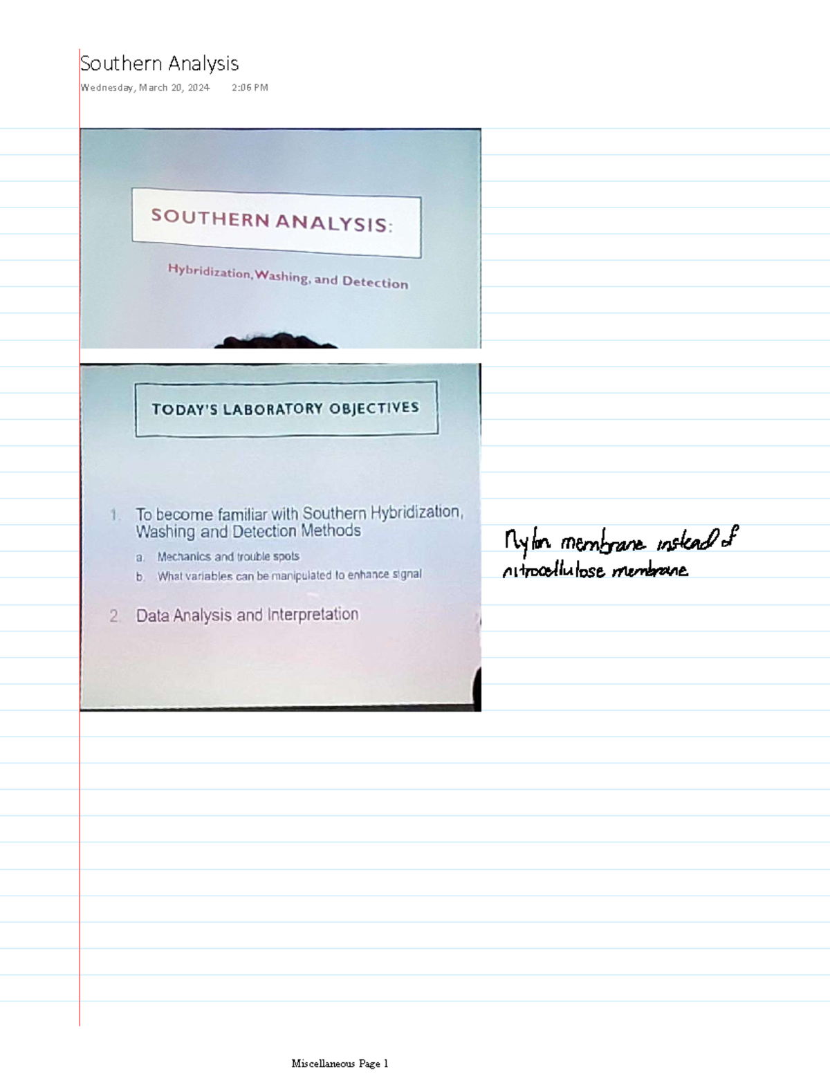 Southern Analysis Lab notes - Biotechnology II - Southern Analysis ...