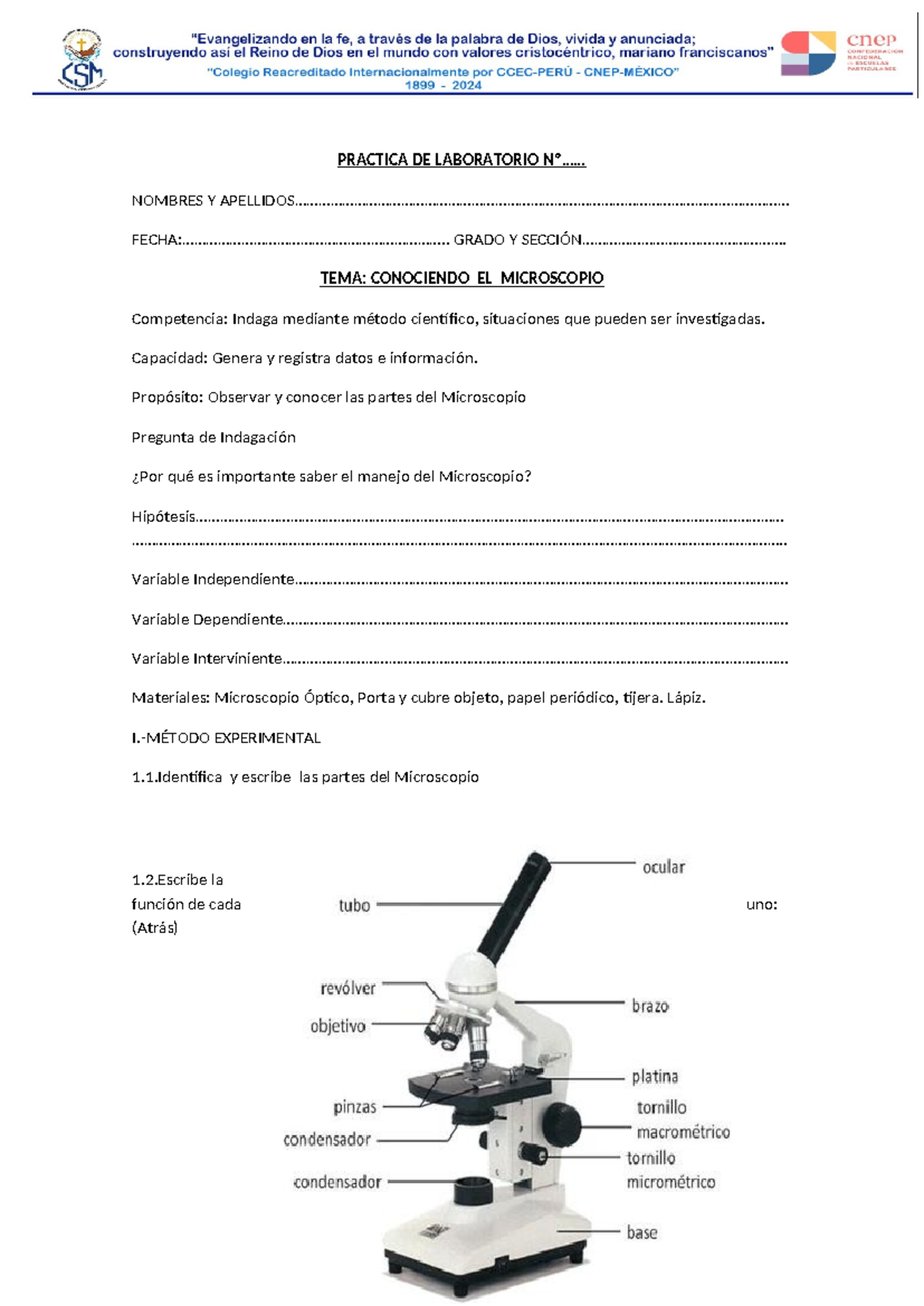 Practica DE Microscopio-2024docx - PRACTICA DE LABORATORIO Nº ...