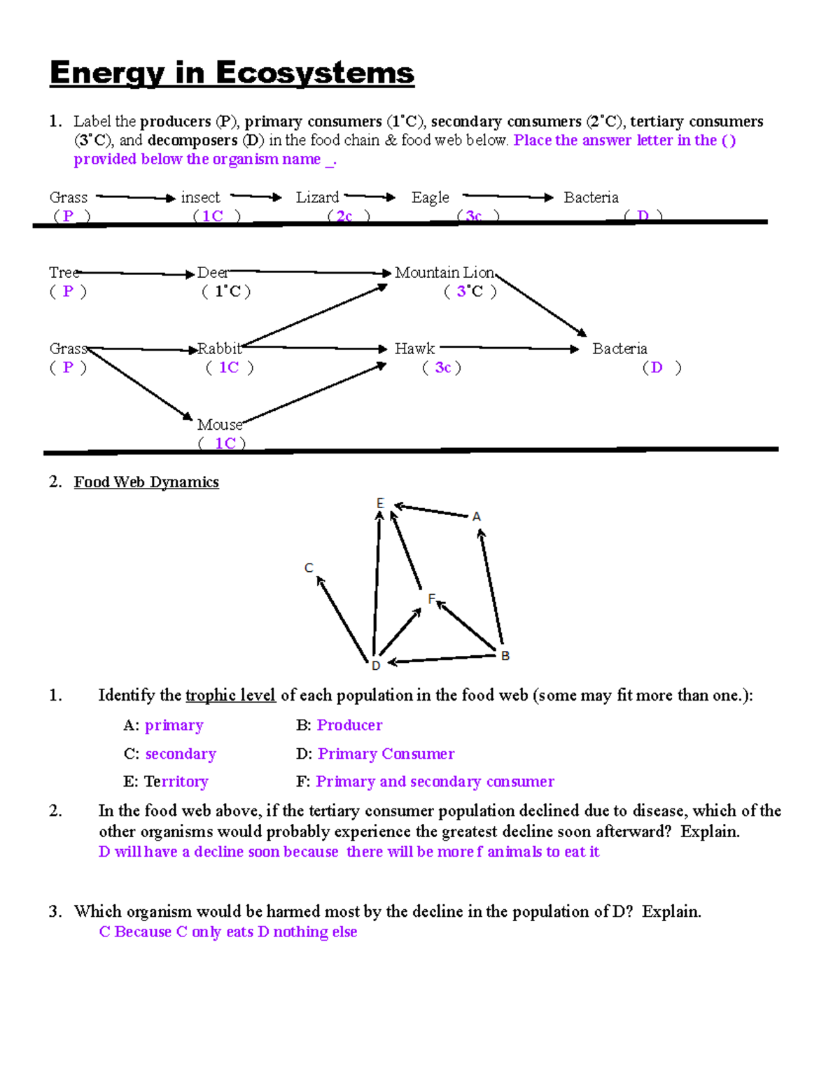 Energy and Levels of Ecology - Energy in Ecosystems 1. Label the ...