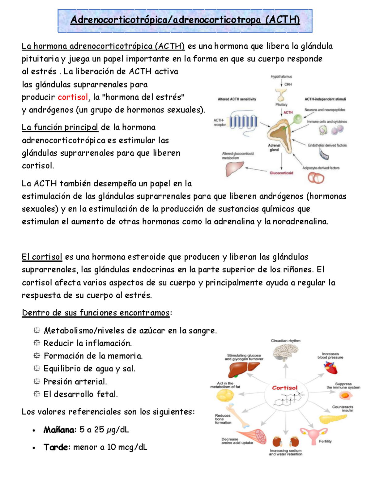 Acth 1 - La hormona adrenocorticotrópica (ACTH) y el corisol - La ...