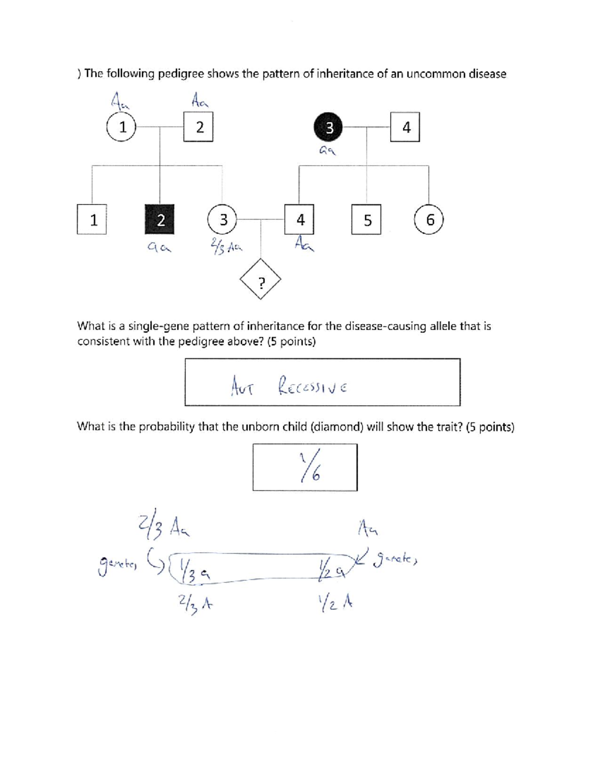 Mod2 problems 11292022 key - BIO320 - Studocu