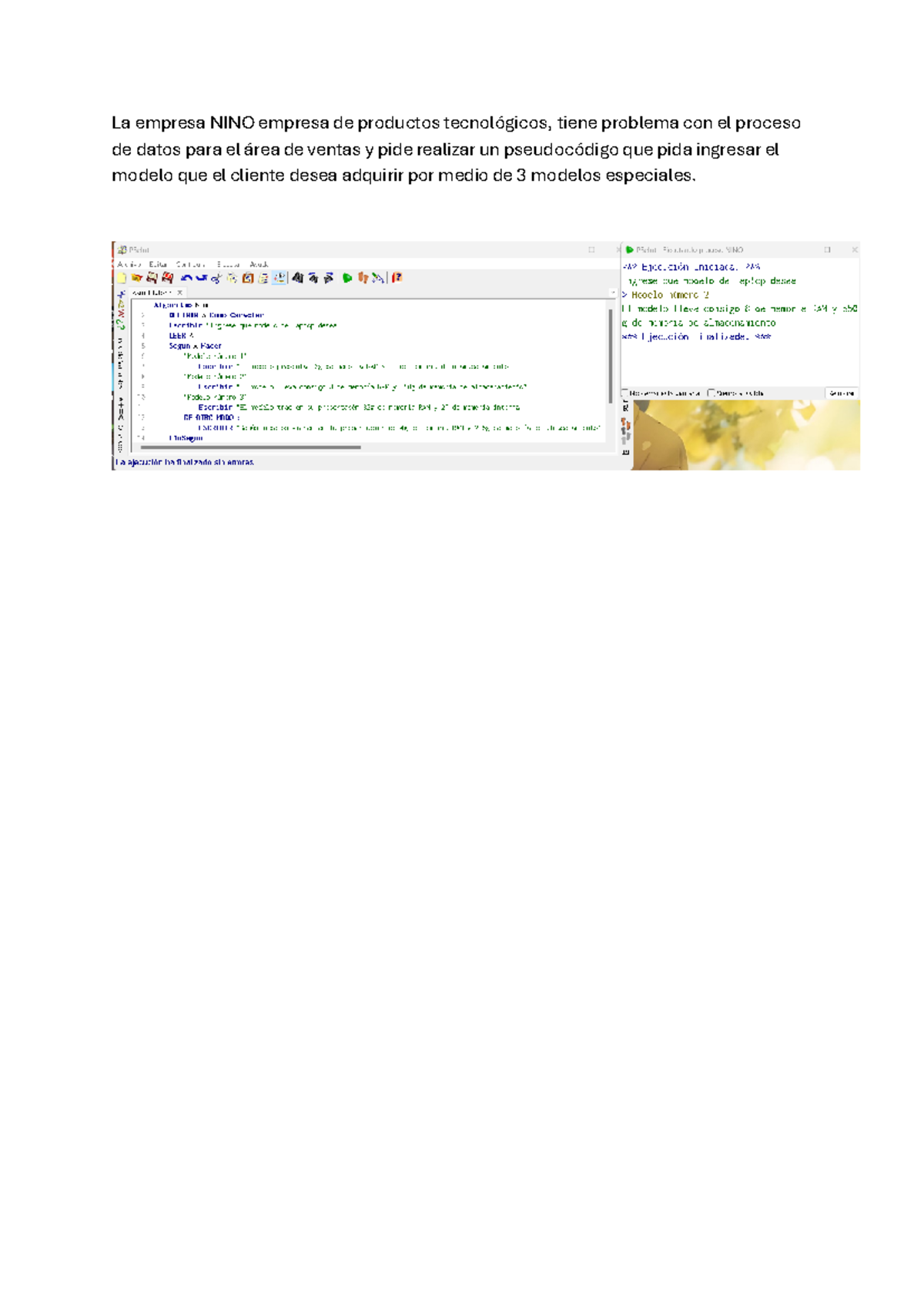 Sesión Integradora 9 - NO es nada muy importante - Algoritmo y Programacion - La empresa NINO ...
