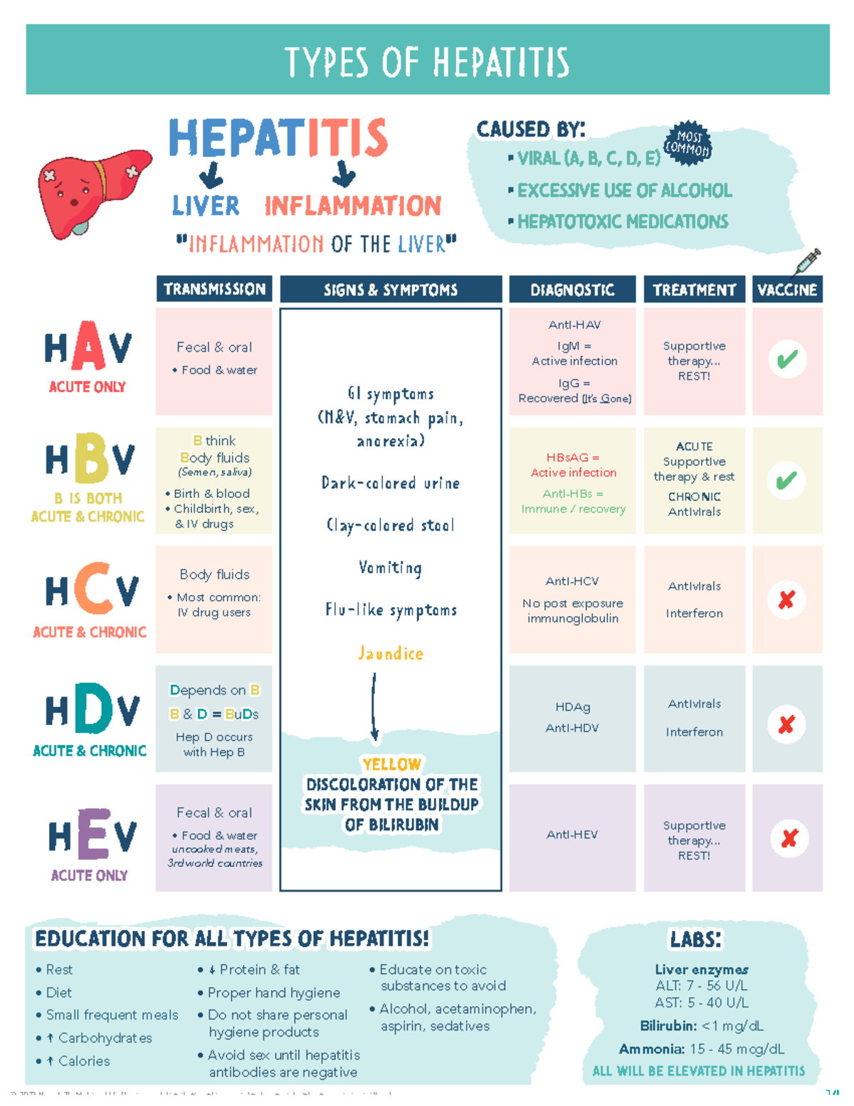 Week 6 - Study materials - TYPES OF HEPATITIS HEPATITIS LIVER ...