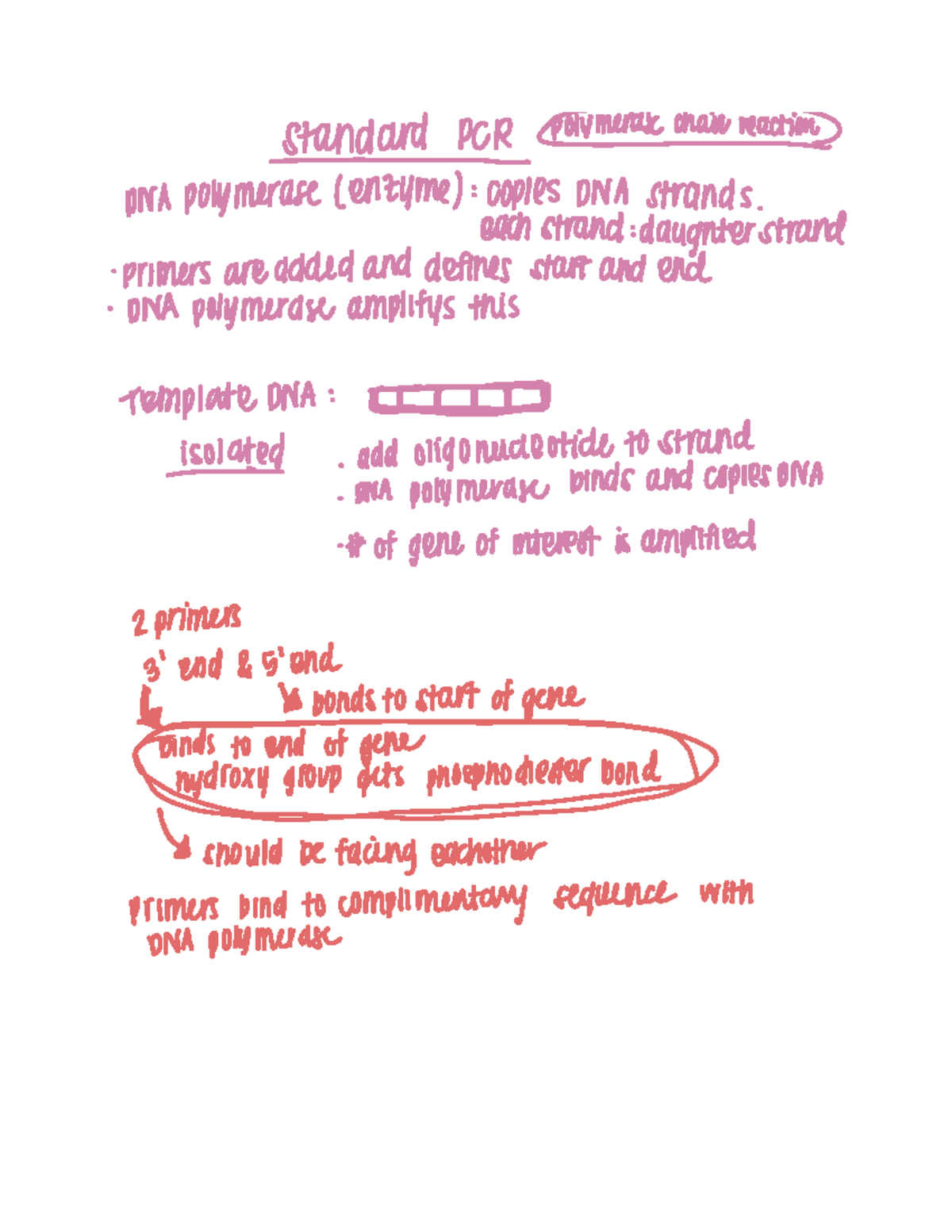 Standard PCR - Lecture notes 1-3 - BIOS-5153 - Studocu