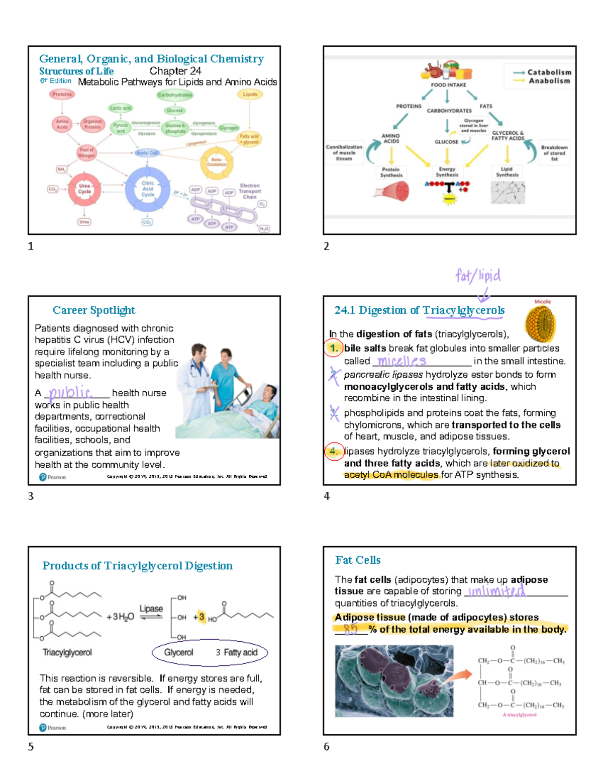 CHE+110+Ch - lecture notes - Copyright © 2019, 2015, 2013 Pearson ...