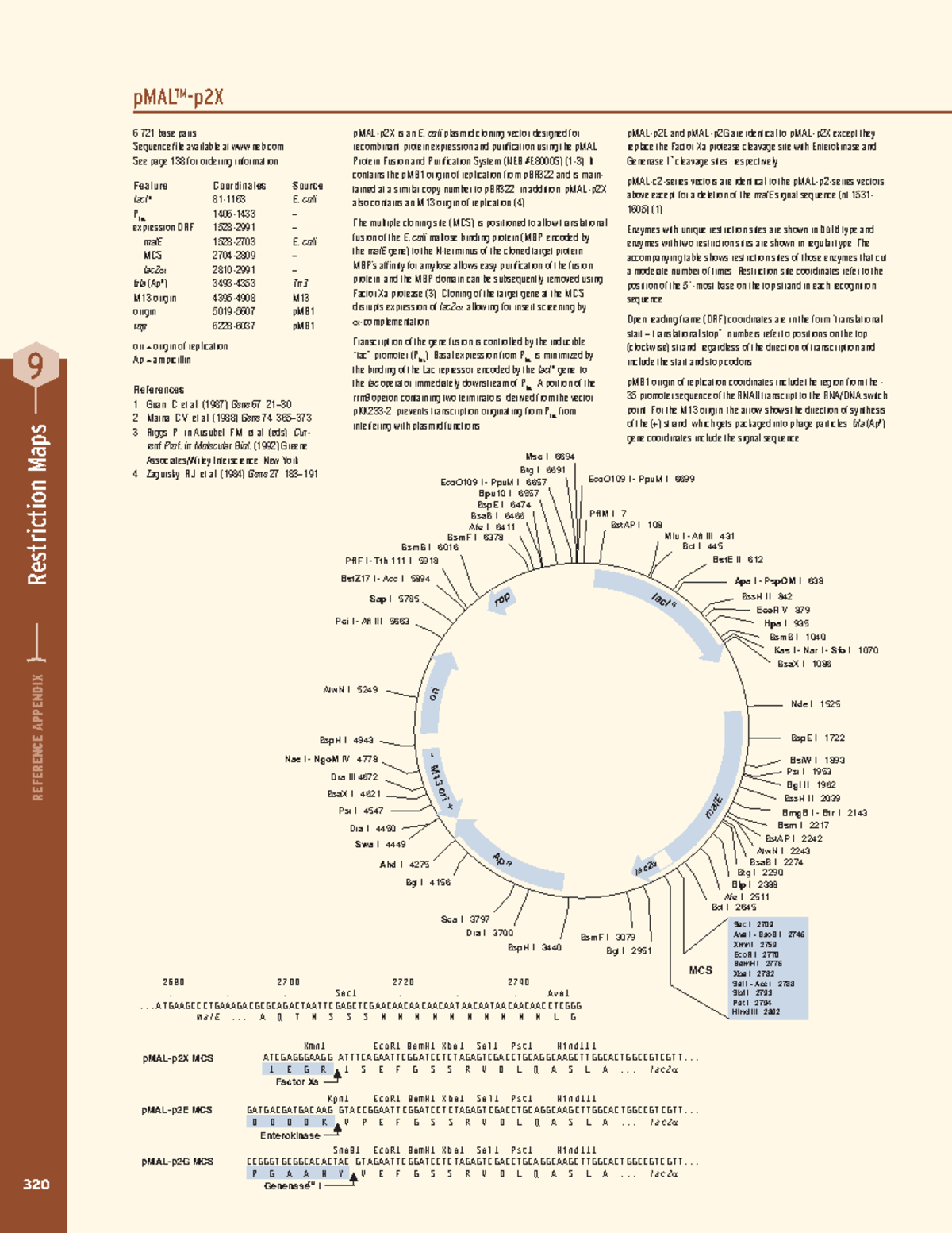 P MAL-p2X map - Good vector for protein purification - 320 REFERENCE ...