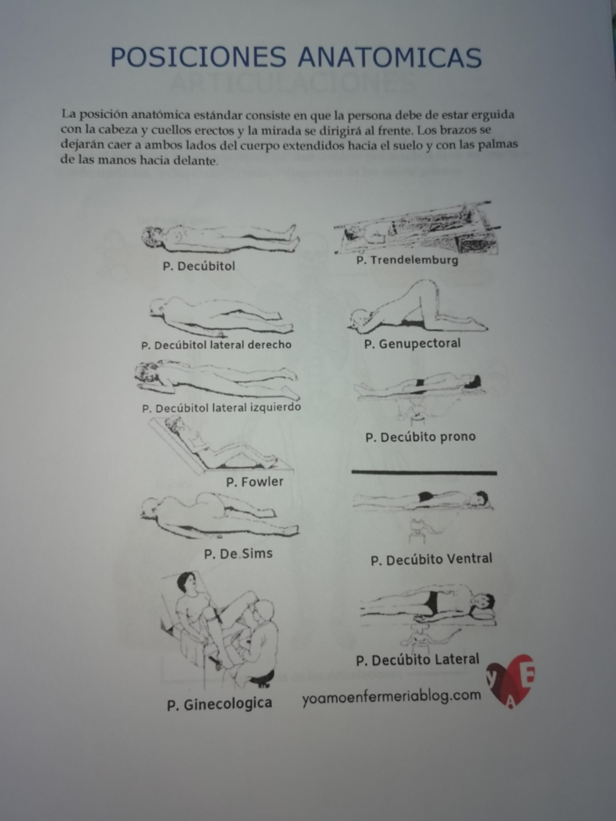 Posiciones anatómicas - enfermeria medico quirurgica - Studocu