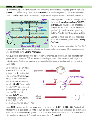 Tris Tris HCl A Standard Buffer for Use in the Physi - Ratio Tris/TrIs ...