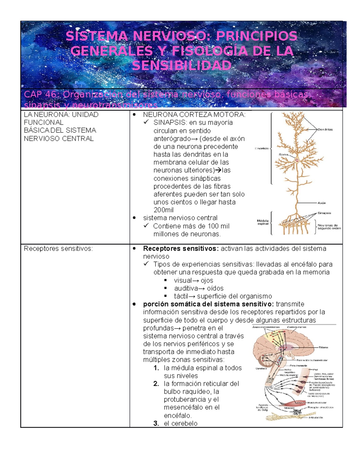 Cap 46 - resumen capitulo 46 fisiologìa de guyton - D SISTEMA NERVIOSO: PRINCIPIOS GENERALES Y ...