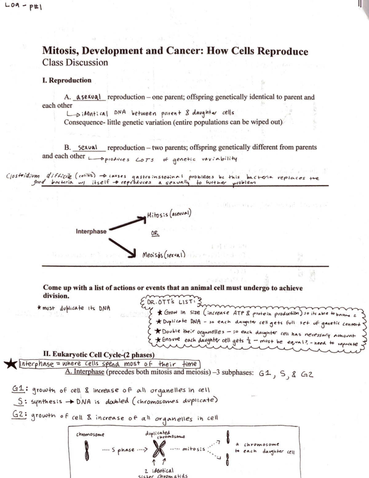 Biol101 Unit 2 Notes (Lessons 9-14) - Mitosis, Development and Cancer ...