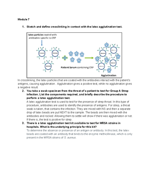 Microbio Module 3 (Lab 3) - J210 Practical Worksheet Module 3 1. List 3 ...