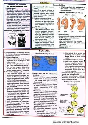 Chapter 1 The Human Body - Chapter 1 The Human Body: An Orientation A ...