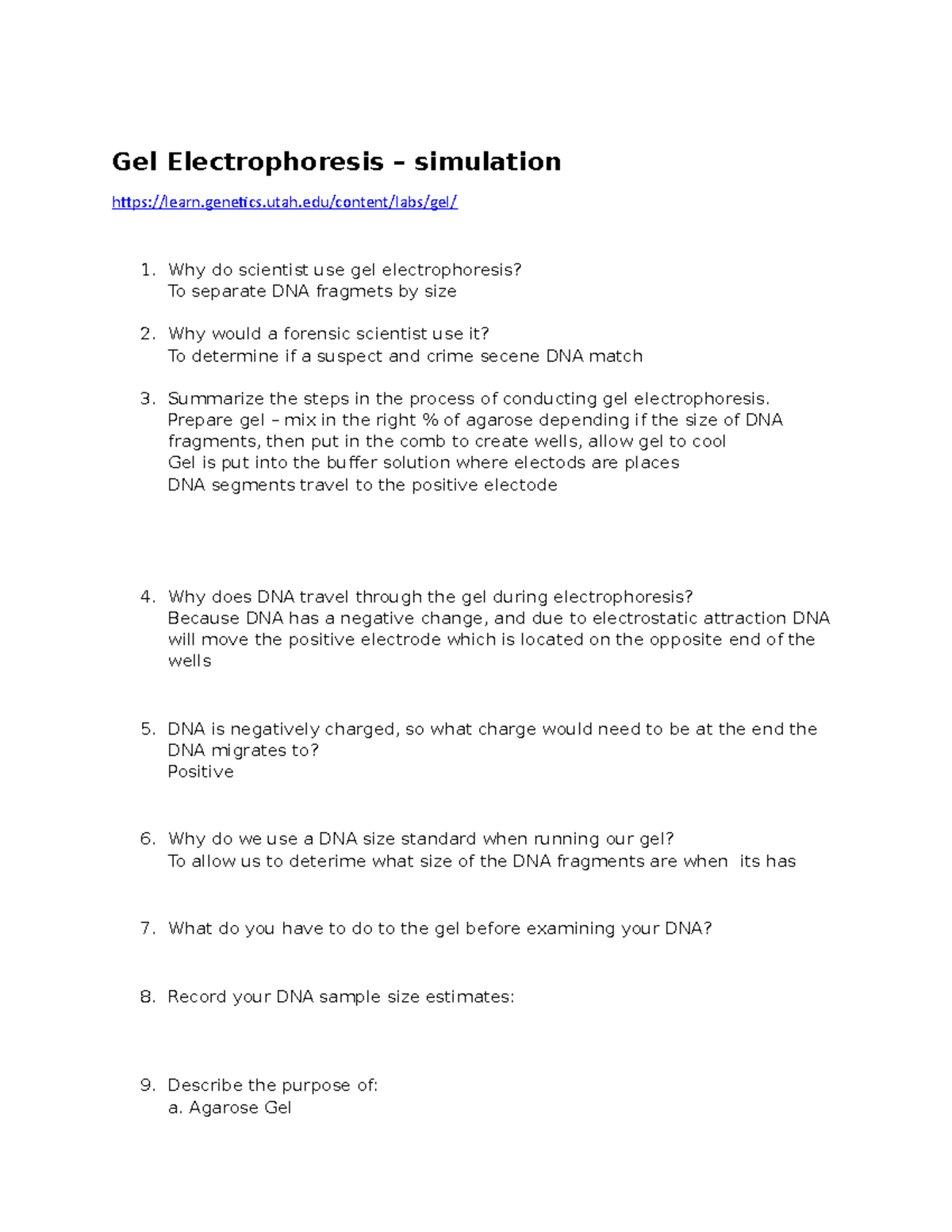 Gel Electrophoresis - notes - Gel Electrophoresis – simulation learn ...