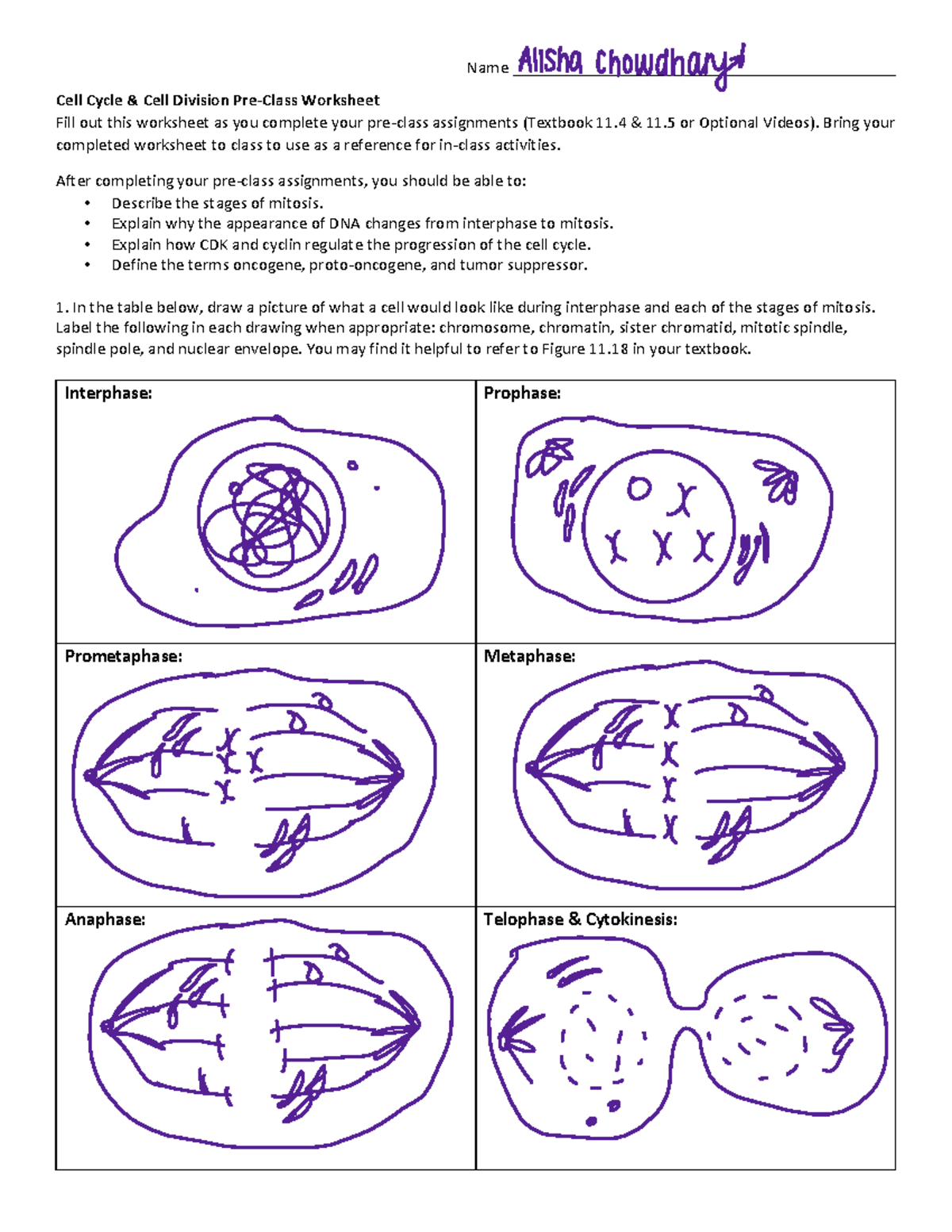 Week+10b+Cell+Cycle+and+Cell+Division+v2 - Name