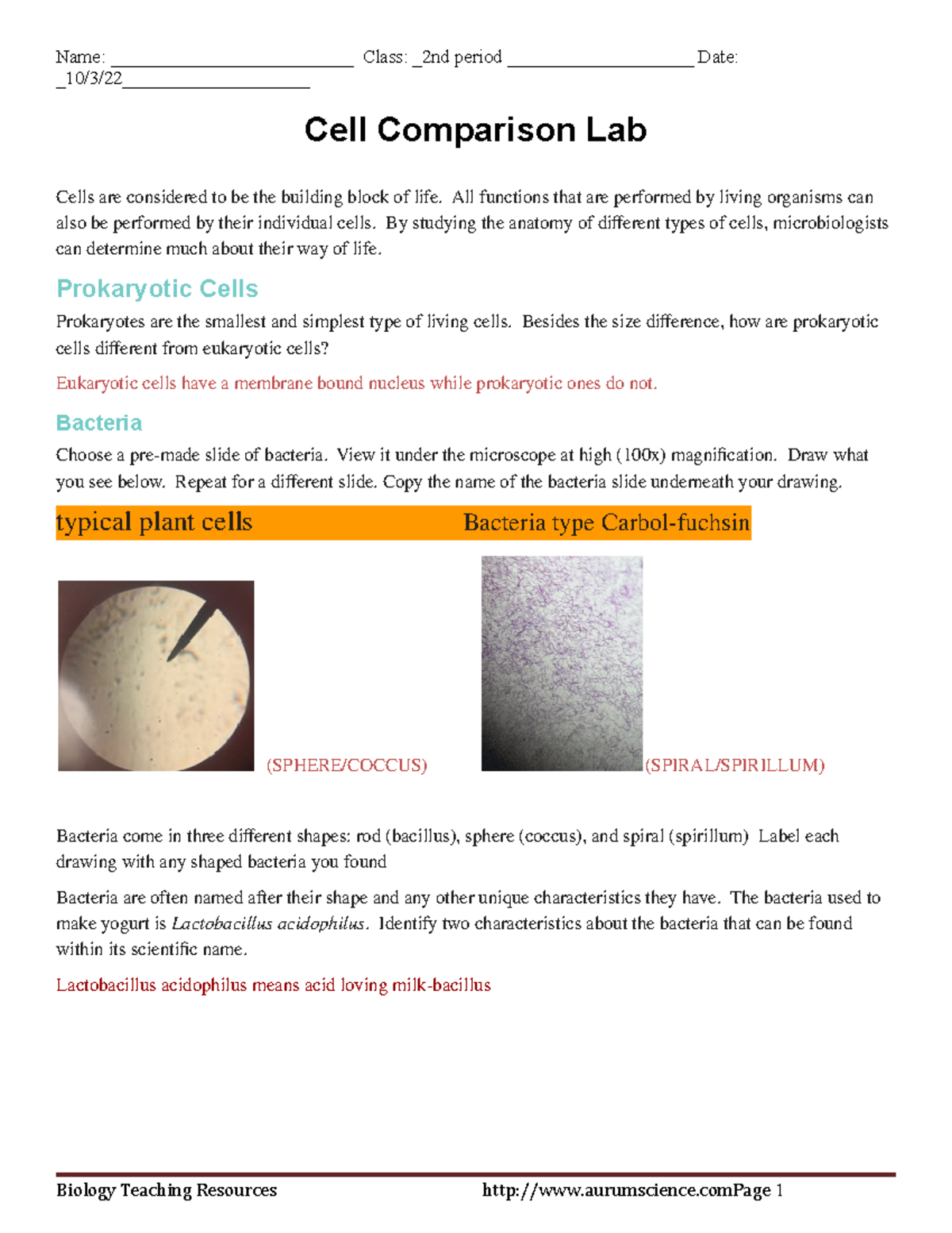 Cell Comparison Lab - Deprecated API usage: The SVG back-end is no ...
